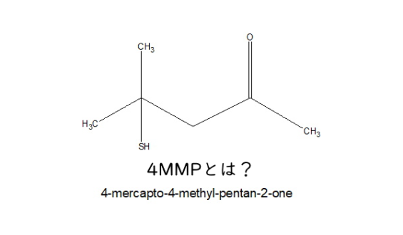 4mmp（4-mercapto-4-methyl-pentan-2-one）とは【香気成分と詳細】 | 山梨・日本酒同好会